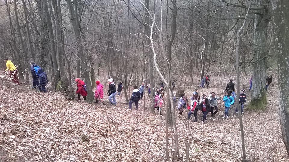 Şcoala Altfel în Pădurea Codrişor | Răsunetul