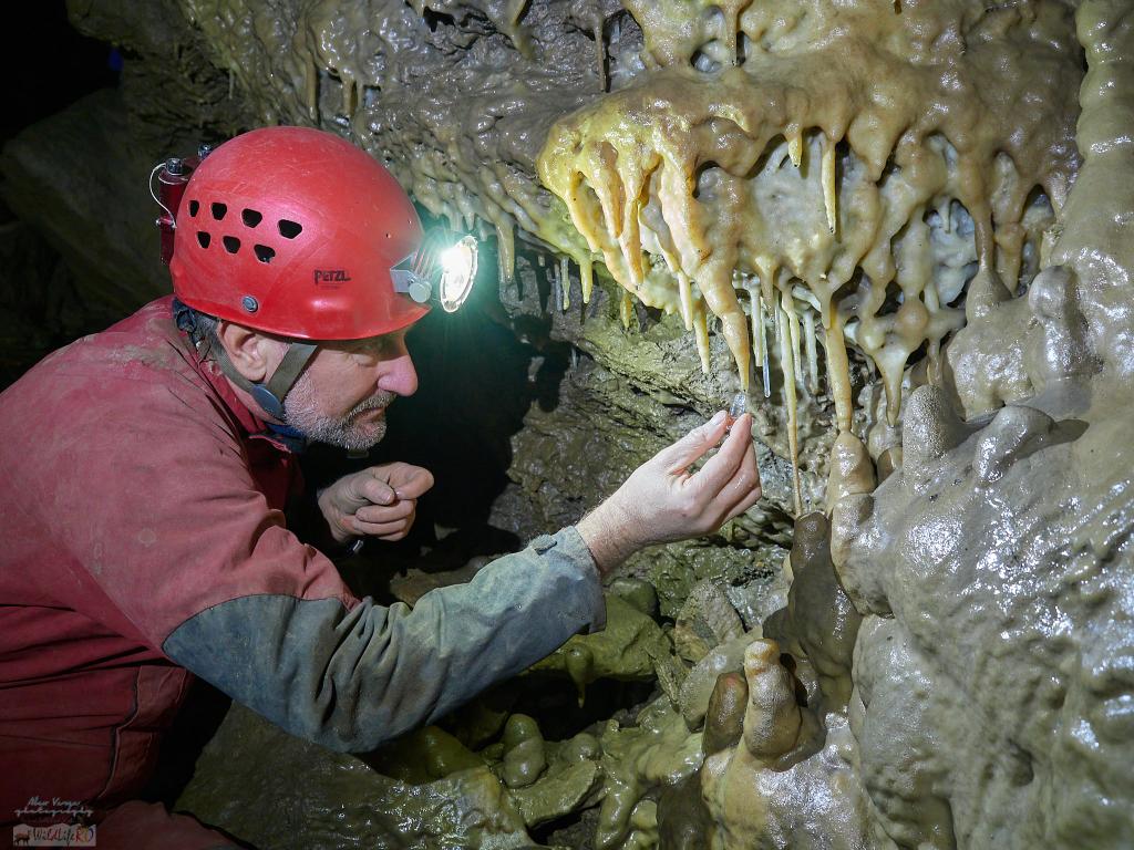 Descoperire inedită la Peștera Izvorul Tăușoarelor | Răsunetul
