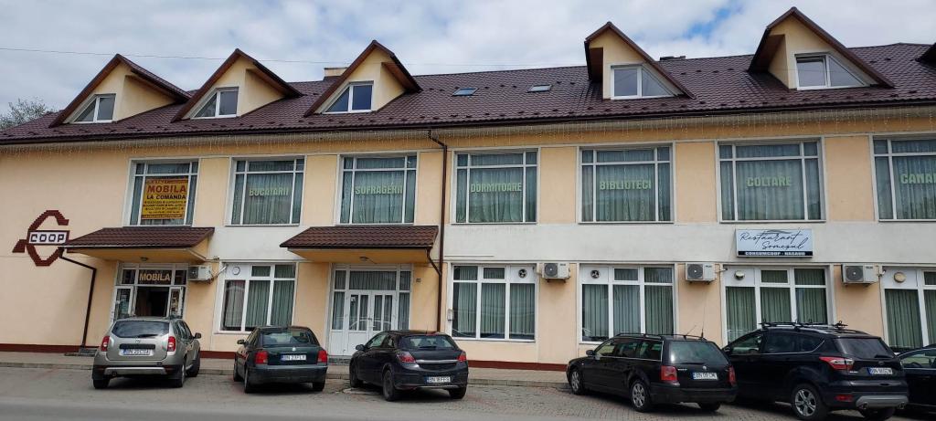 Locuri și obiective emblematice pentru orașul Năsăud, în picturi și ...