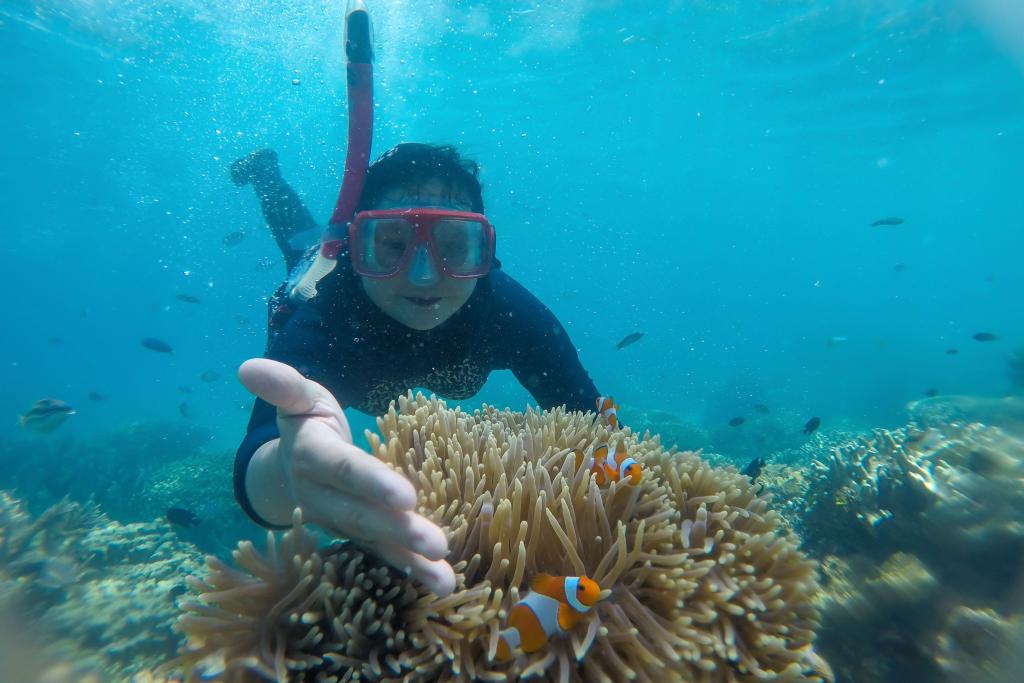 Viața sub valuri: snorkeling în apele albastre ale Greciei | Răsunetul