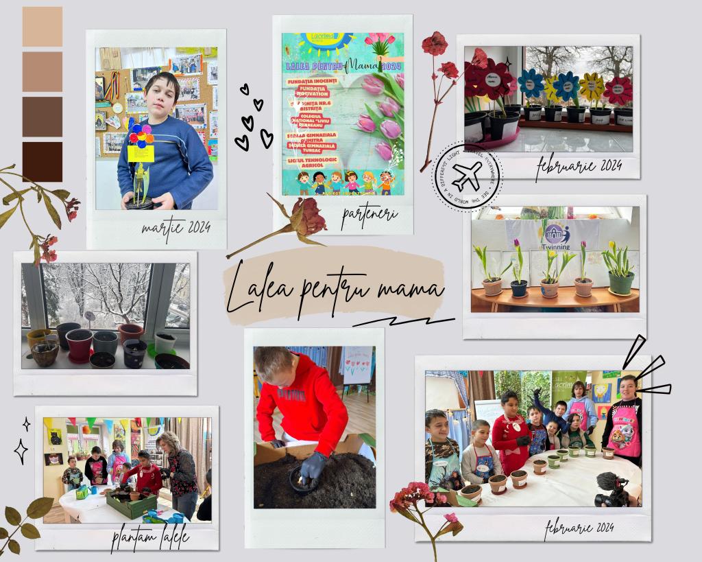 Lalea pentru mama, la Centrul Școlar de Educație Incluzivă „Lacrima ...